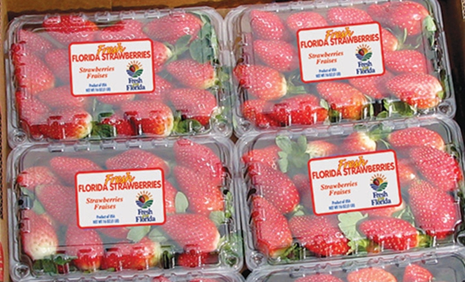 square strawberries